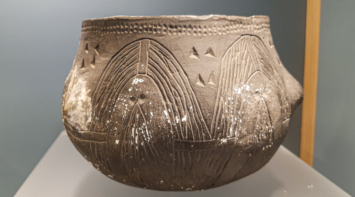 What prehistoric linear pottery taught me this summer - DFB-keramiek